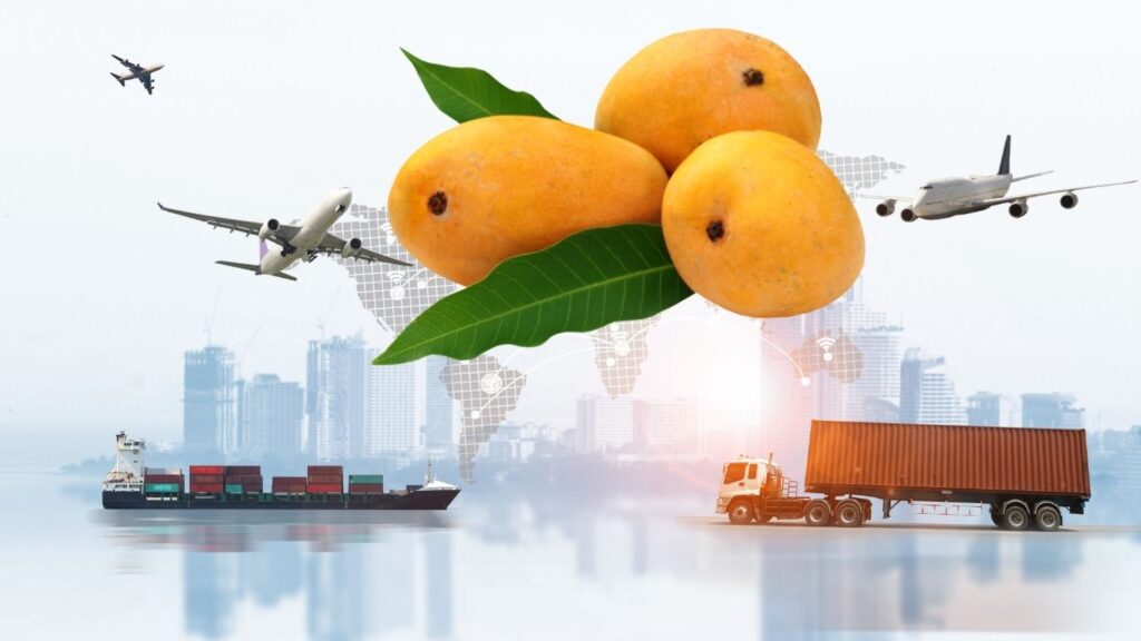 How to Export Mango From India - ALNADIM EXIM LLP
